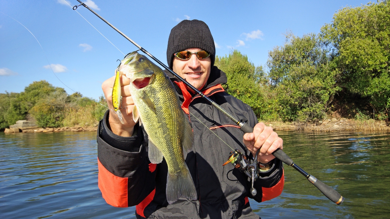 Proven Bass Fishing Rigs Every Angler Should Know – The Avid Outdoorsman