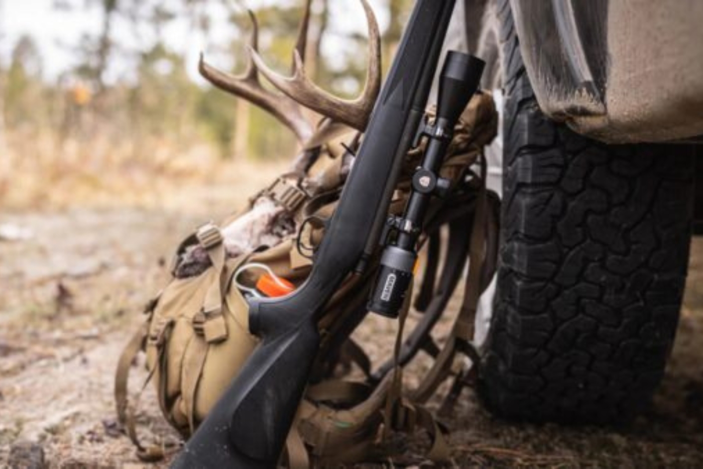 Home - The Avid Outdoorsman