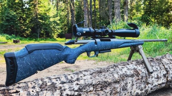 8 Best Hunting Rifles of All Time - The Avid Outdoorsman