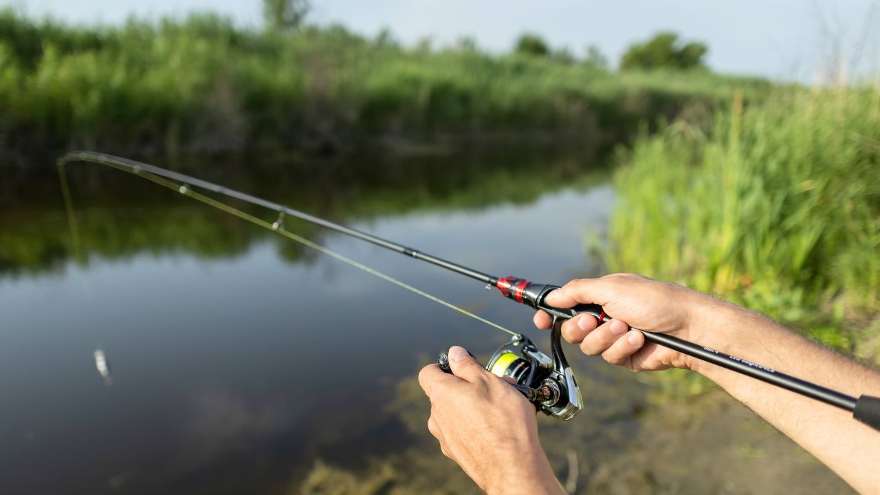 Fishing gear You Can’t Hit the Water Without - The Avid Outdoorsman