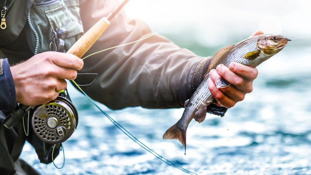 Fly Fishing vs. Conventional Fishing - The Avid Outdoorsman