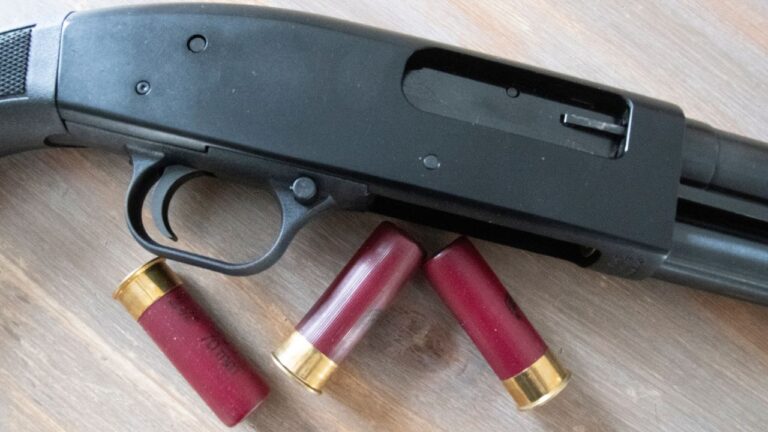 Choosing the Right Shotgun Ammo for Home Defense: Buckshot or Birdshot ...