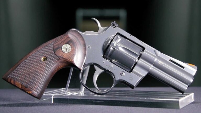 The Best Handguns to Carry in Bear Country This Year - The Avid Outdoorsman