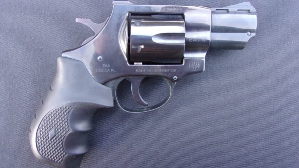 The Best Snub-Nose Revolvers to Add to Your Collection - The Avid ...