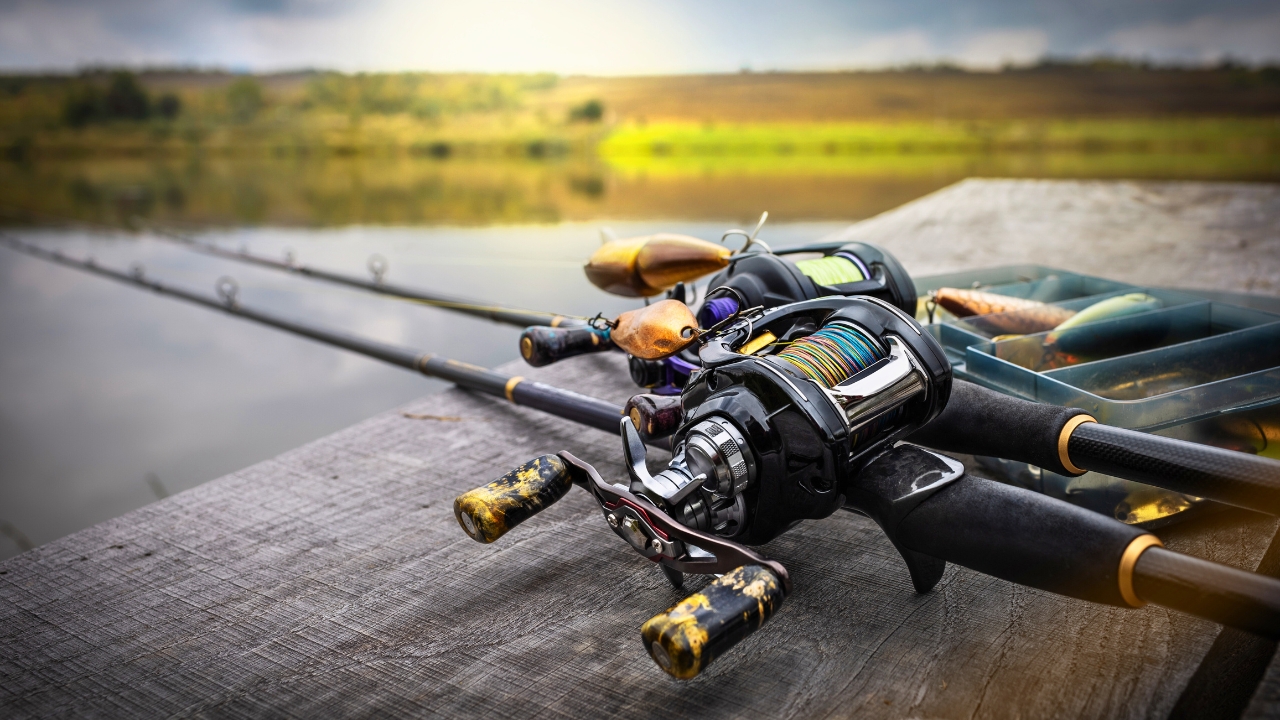10 Bank Fishing Hacks to Catch More Largemouth – The Avid Outdoorsman