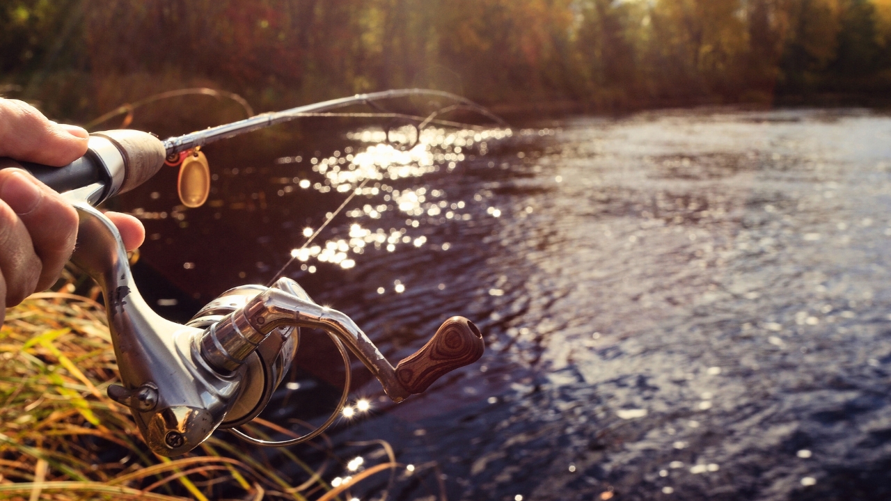 10 Bank Fishing Hacks to Catch More Largemouth - The Avid Outdoorsman