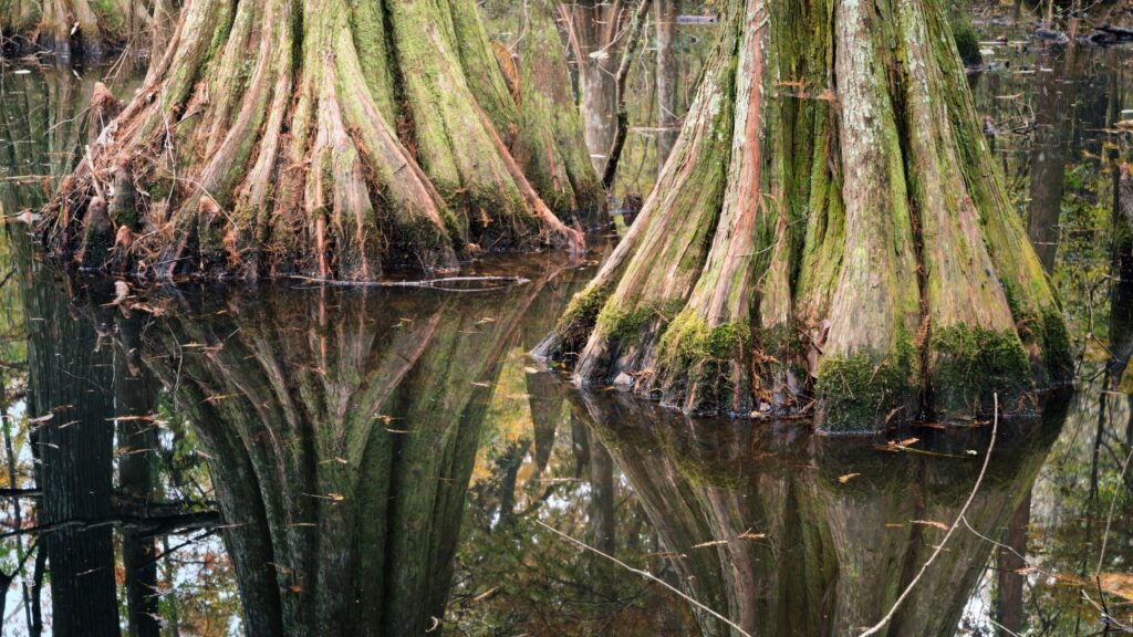 8 State Parks Where You Can Hunt and Camp in the Same Trip - The Avid ...