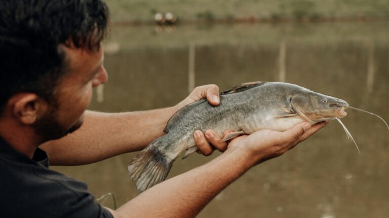 15 surprising facts about catfish - The Avid Outdoorsman