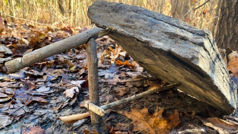 8 Simple Traps Every Survivalist Should Know How to Set - The Avid ...