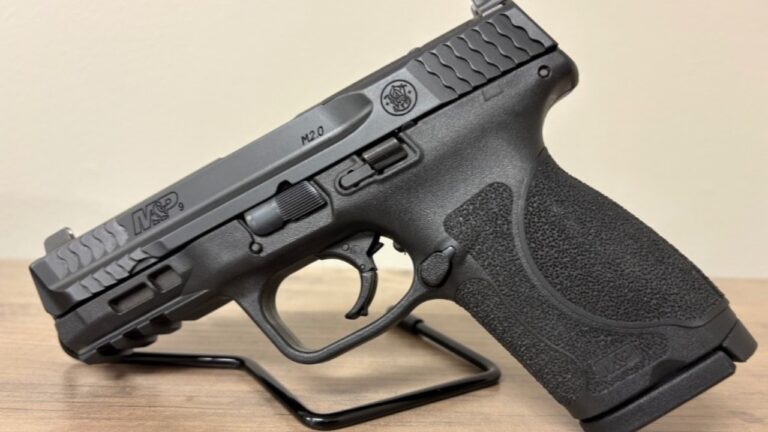 The Best Trail Pistols for Hikers and Backpackers - The Avid Outdoorsman
