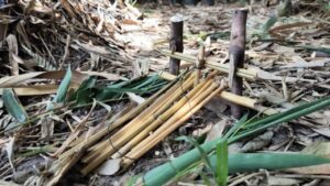 8 Simple Traps Every Survivalist Should Know How to Set - The Avid ...