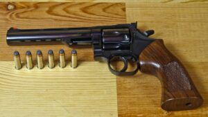 .44 Magnum in the Wild: Too Much or Just Right? - The Avid Outdoorsman