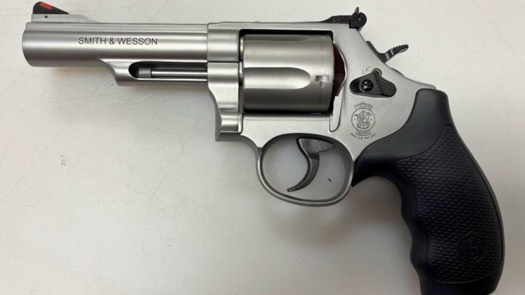 Smith & Wesson Model 69: more than a trail gun - The Avid Outdoorsman