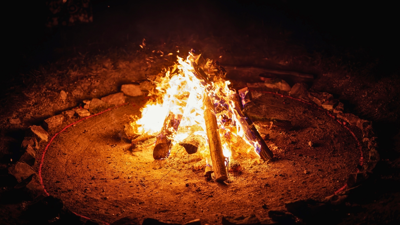 Best Woods for Building a Long-Lasting Campfire - The Avid Outdoorsman