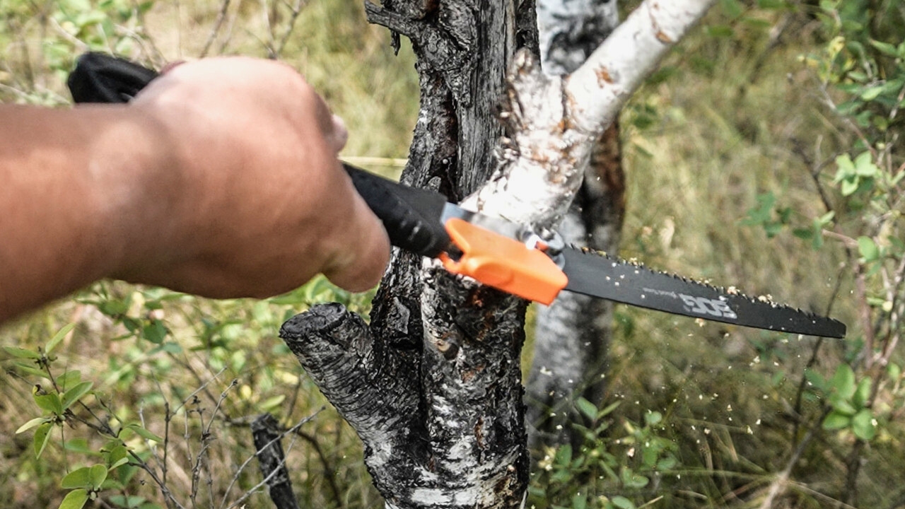 The Folding Saws That’ll Actually Take a Beating - The Avid Outdoorsman