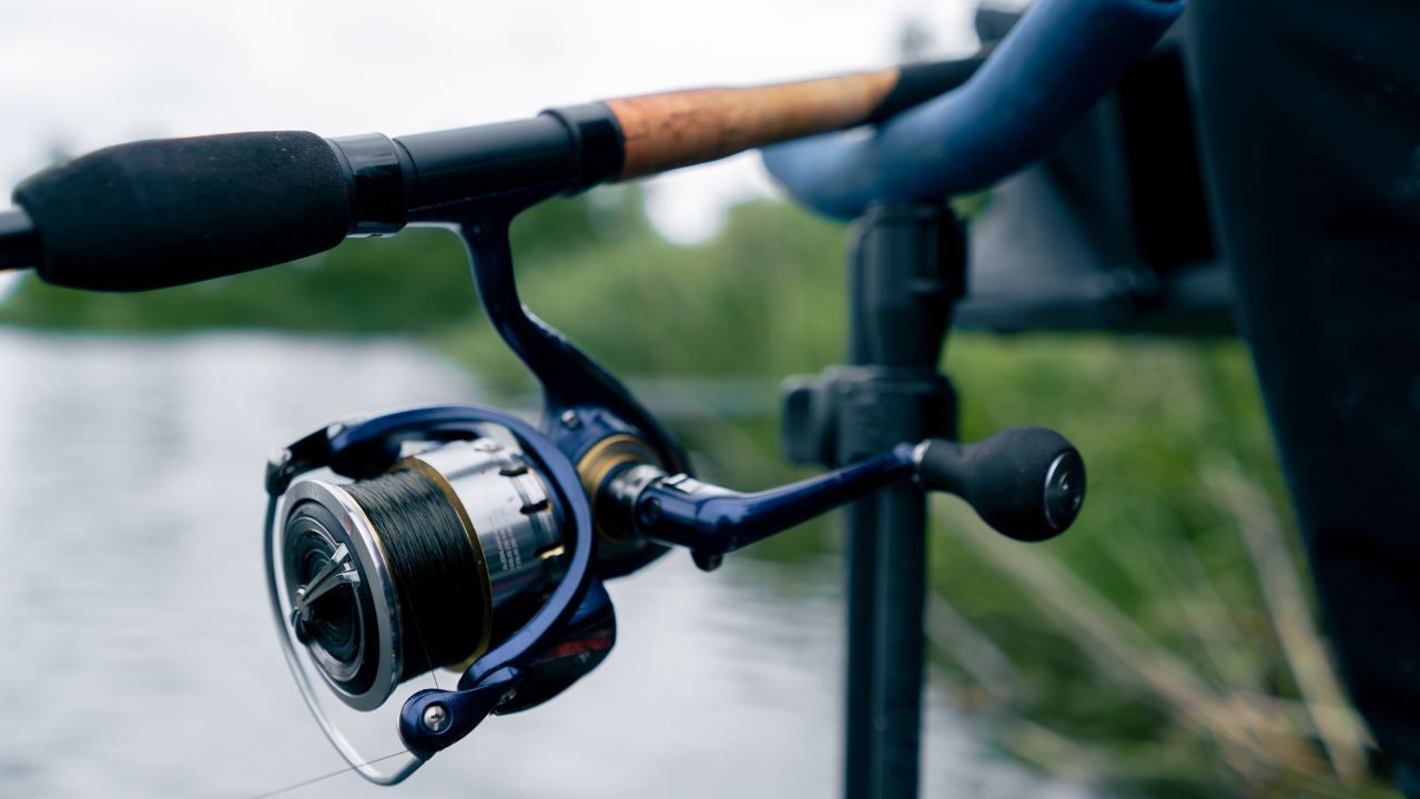 Why your line choice is hurting your catch rate - The Avid Outdoorsman