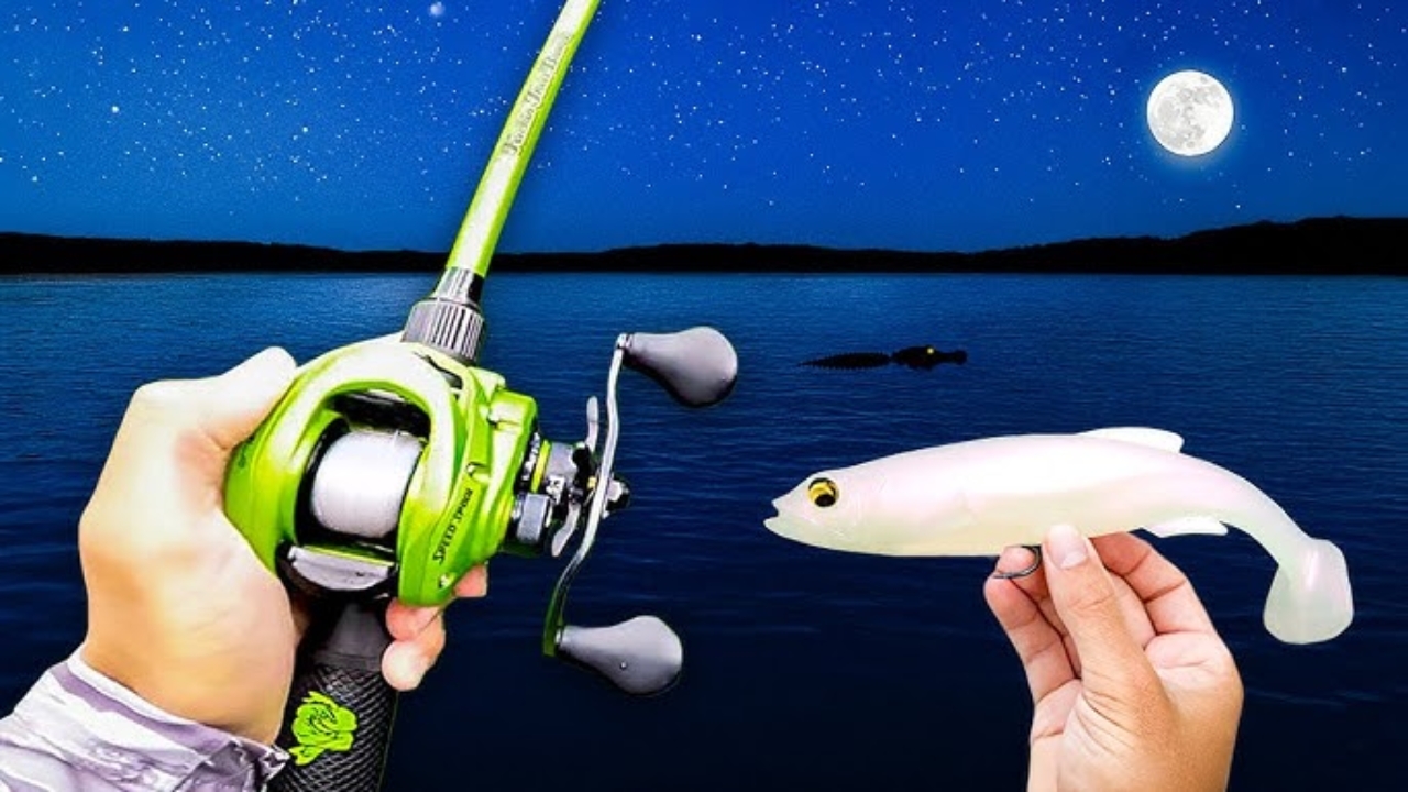 Night Fishing for Bass: What You Need - The Avid Outdoorsman