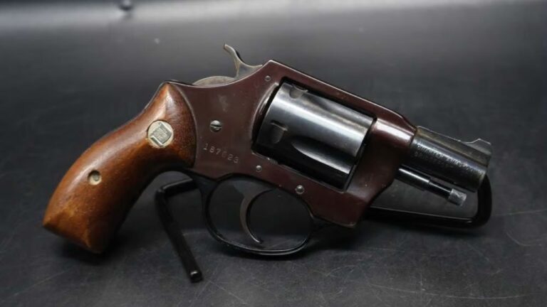 The best revolvers for everyday carry that actually make sense - The ...