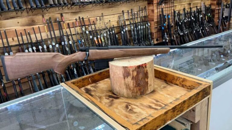 Rifles that deliver sub-MOA accuracy - The Avid Outdoorsman