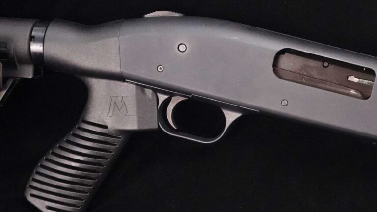 Mossberg 500 vs Remington 870 pump shotgun showdown - The Avid Outdoorsman