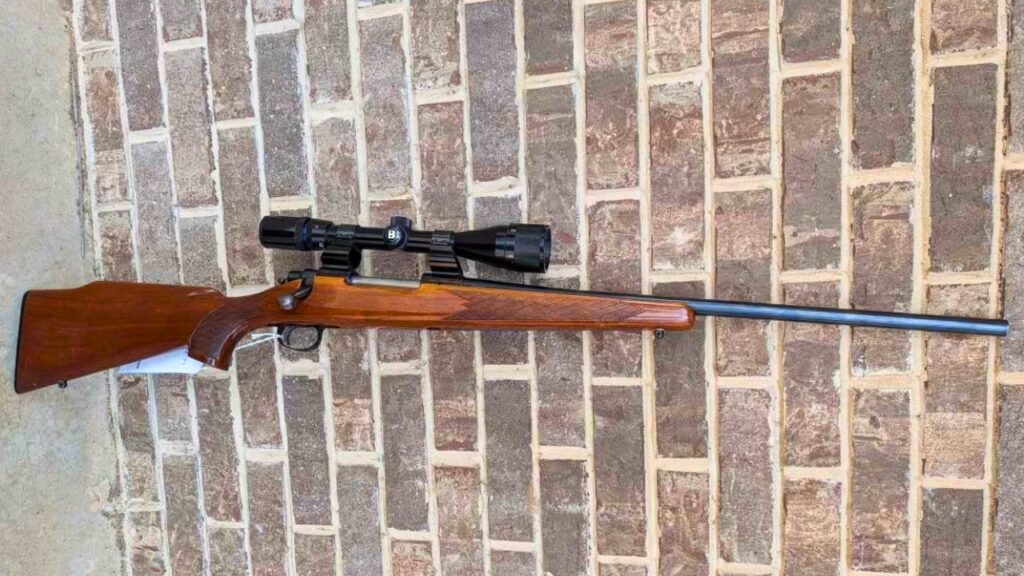 Remington 700 vs Savage 110 best bolt-action buy - The Avid Outdoorsman