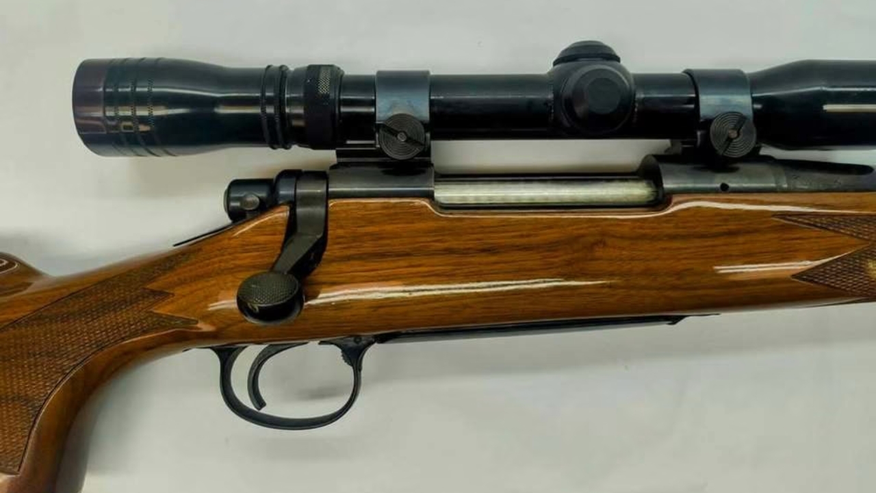 Remington 700 vs Savage 110 best bolt-action buy - The Avid Outdoorsman