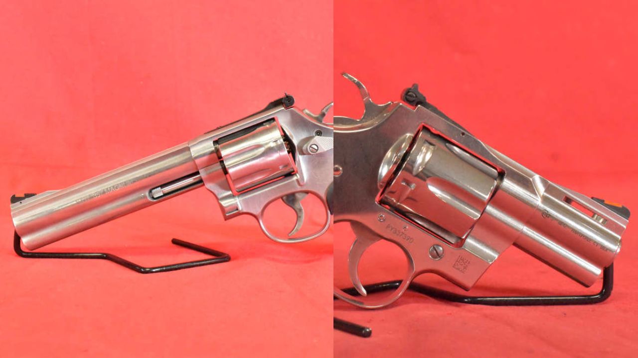 Colt Python vs S&W Model 686 revolver accuracy test - The Avid Outdoorsman