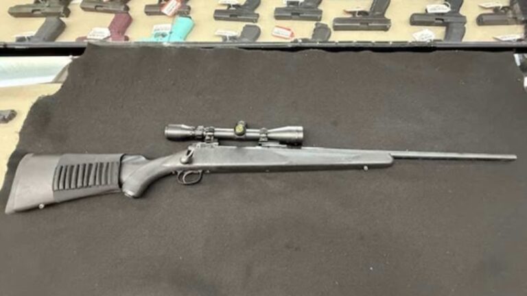 Remington 700 vs Savage 110 best bolt-action buy - The Avid Outdoorsman