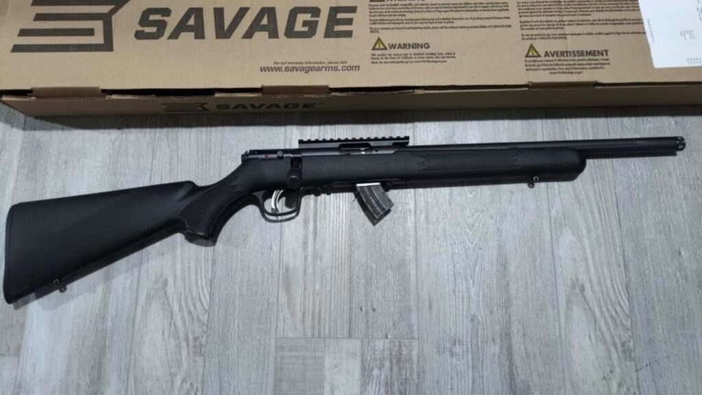 Best small-caliber guns for squirrels - The Avid Outdoorsman