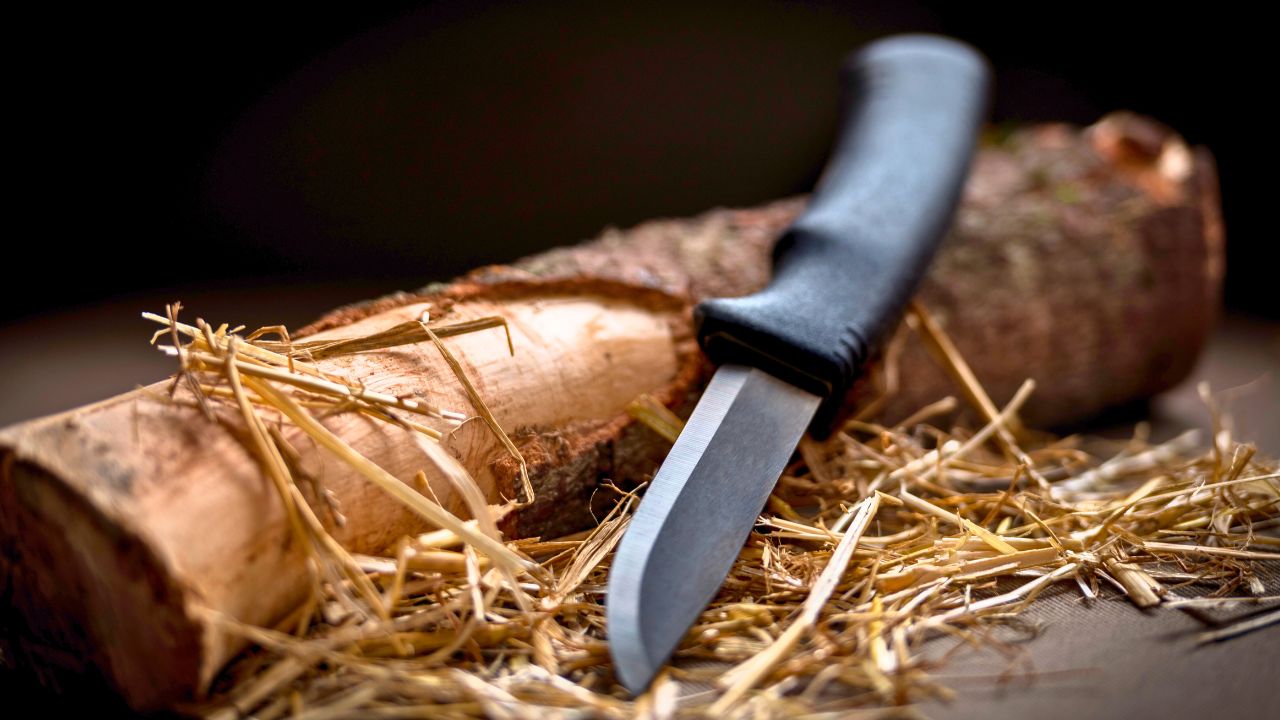 Field knives that handle brush and bone - The Avid Outdoorsman