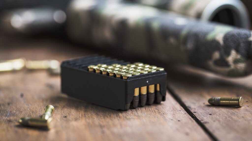 Why .22s still rule for small game and backyard shots - The Avid ...