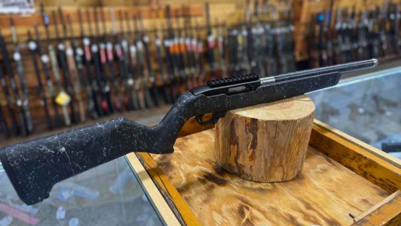 What to look for in a .22 if you plan to suppress it - The Avid Outdoorsman