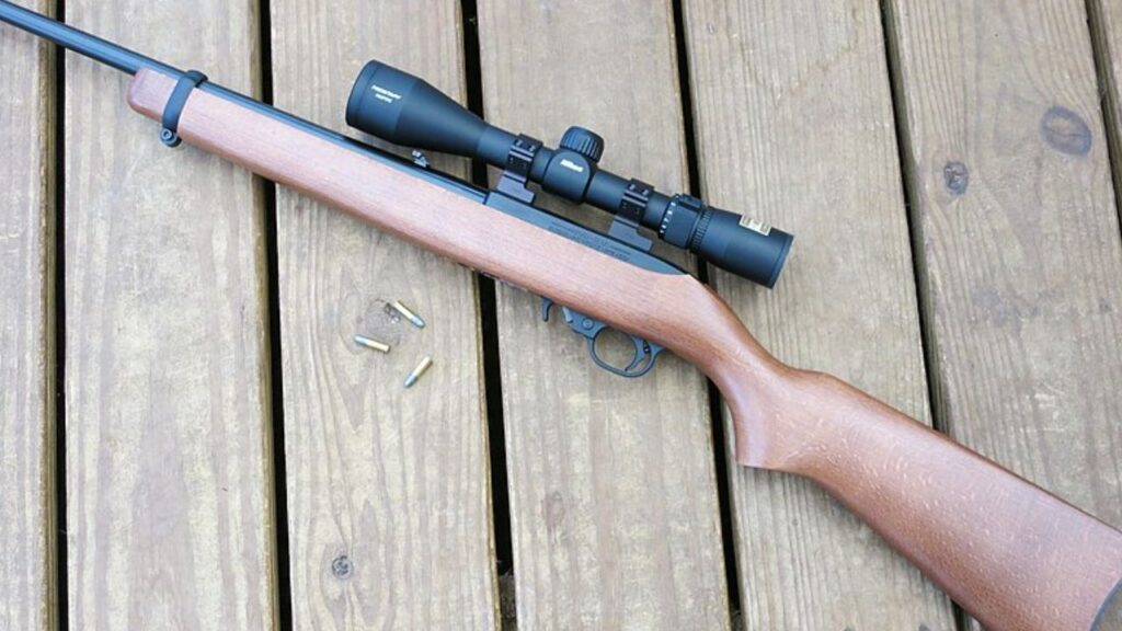 Why .22s still rule for small game and backyard shots - The Avid ...