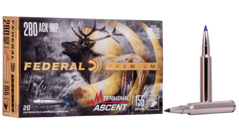 Cartridges that keep momentum after 300 yards - The Avid Outdoorsman