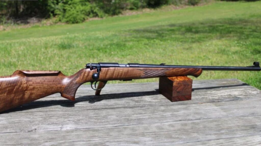 .22 rifles that punch above their size - The Avid Outdoorsman