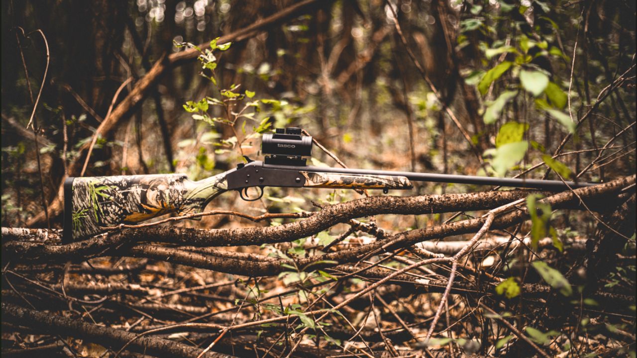 Turkey guns that are more accurate than you’d expect - The Avid Outdoorsman