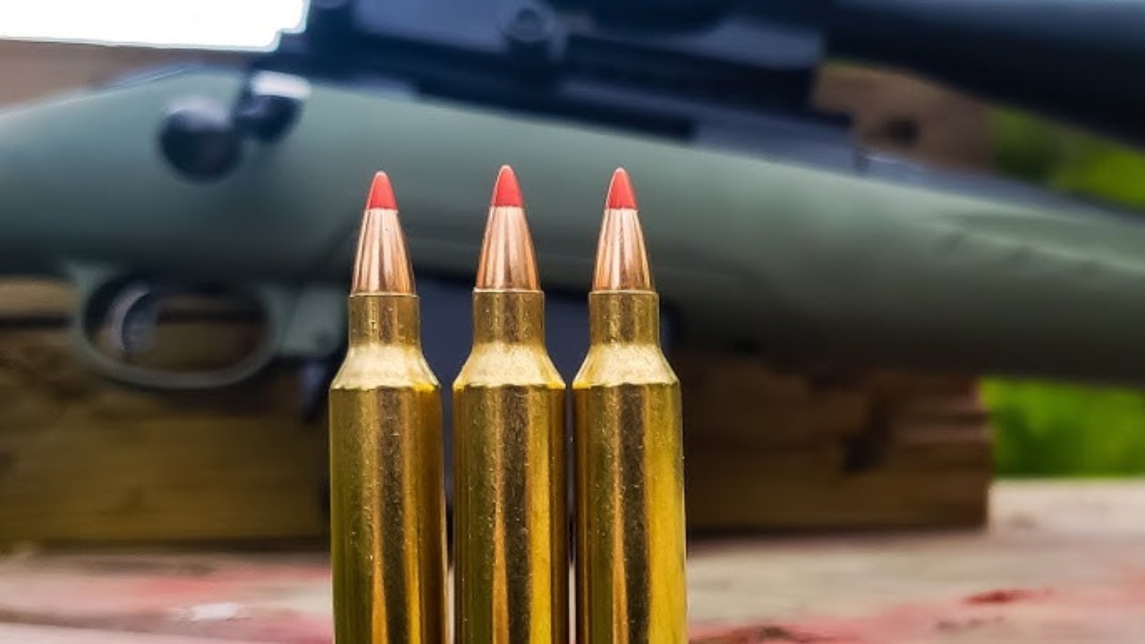 Which Glock is Best for Home Defense? - The Avid Outdoorsman