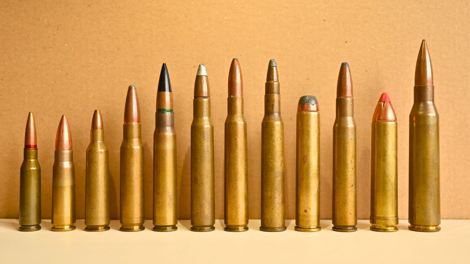 Cartridges that brag on paper but choke on bone - The Avid Outdoorsman