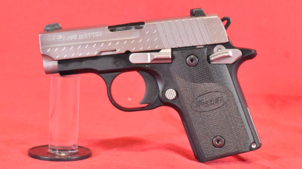 The best carry pistols for shooters with small hands - The Avid Outdoorsman