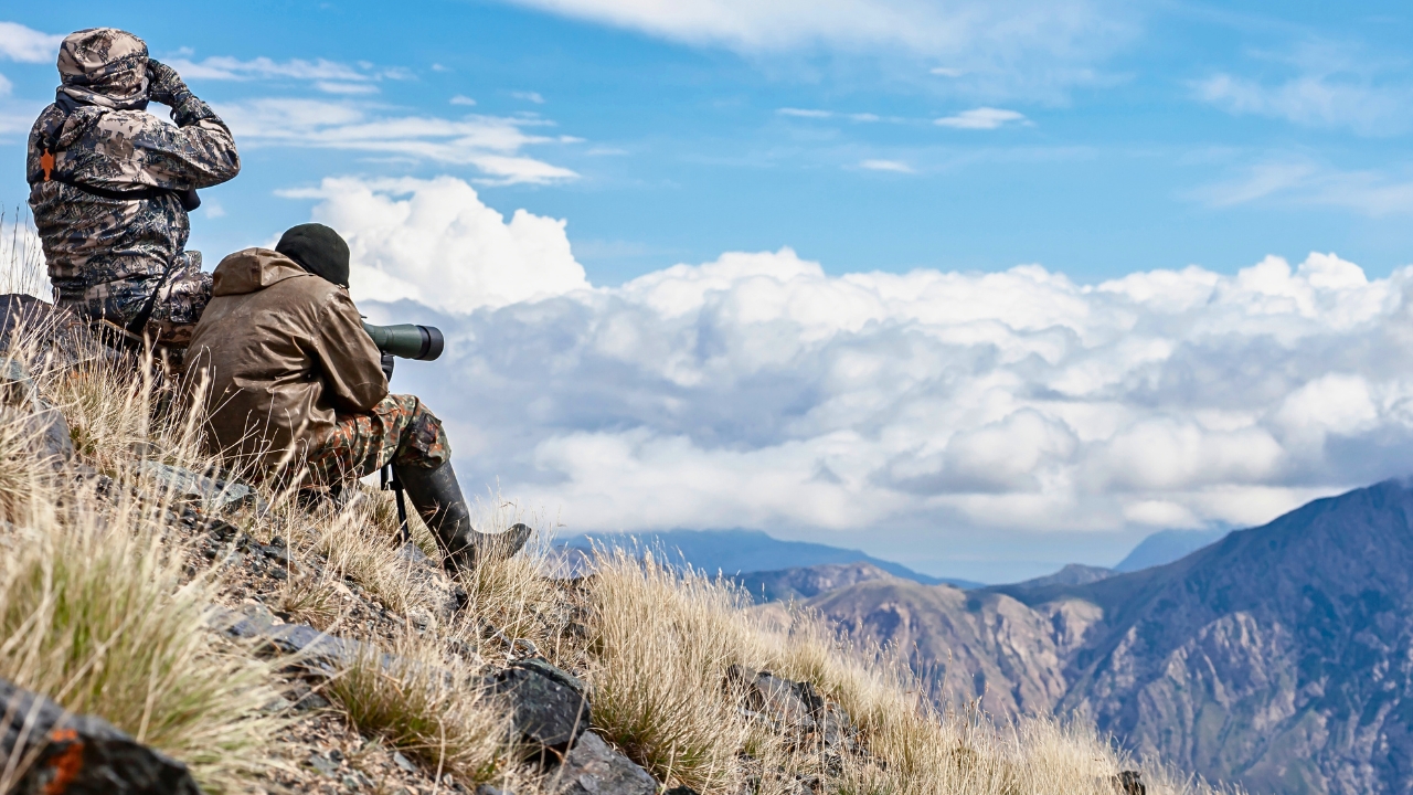 Ammo that fails in real mountain hunts - The Avid Outdoorsman