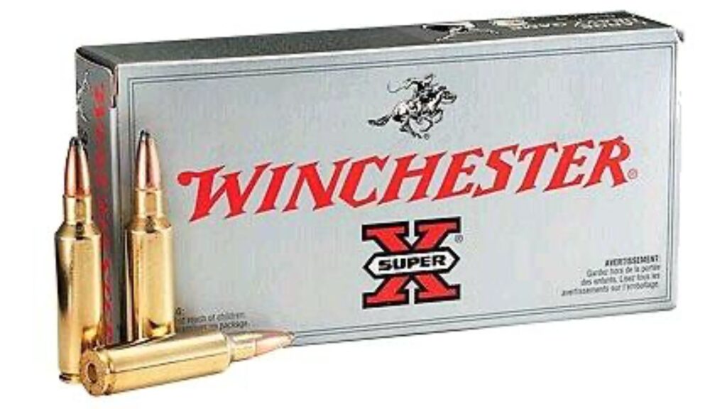 Cartridges that should have stayed on the drawing board - The Avid ...
