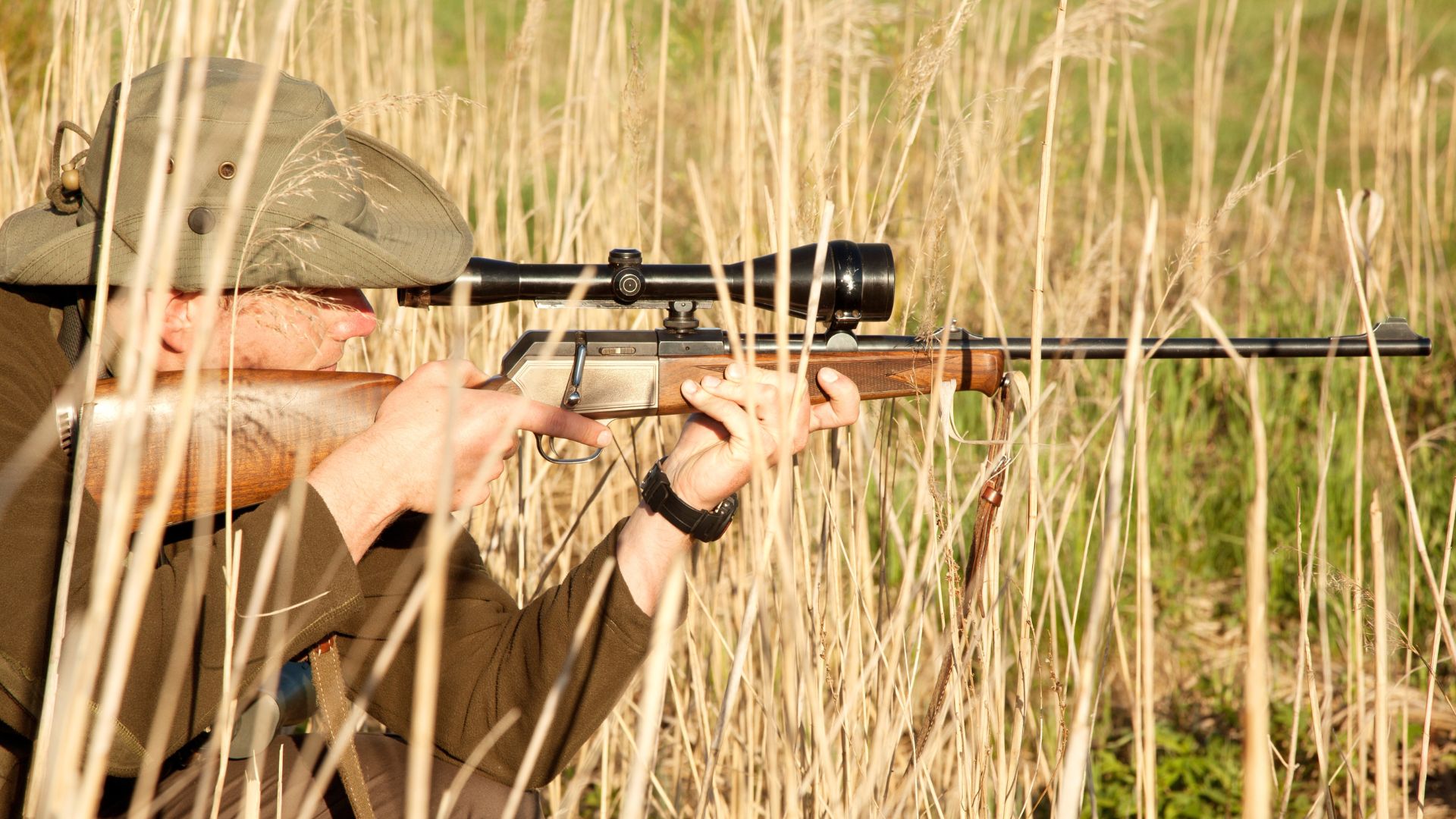 Rifles that can't stay consistent through a full season - The Avid ...