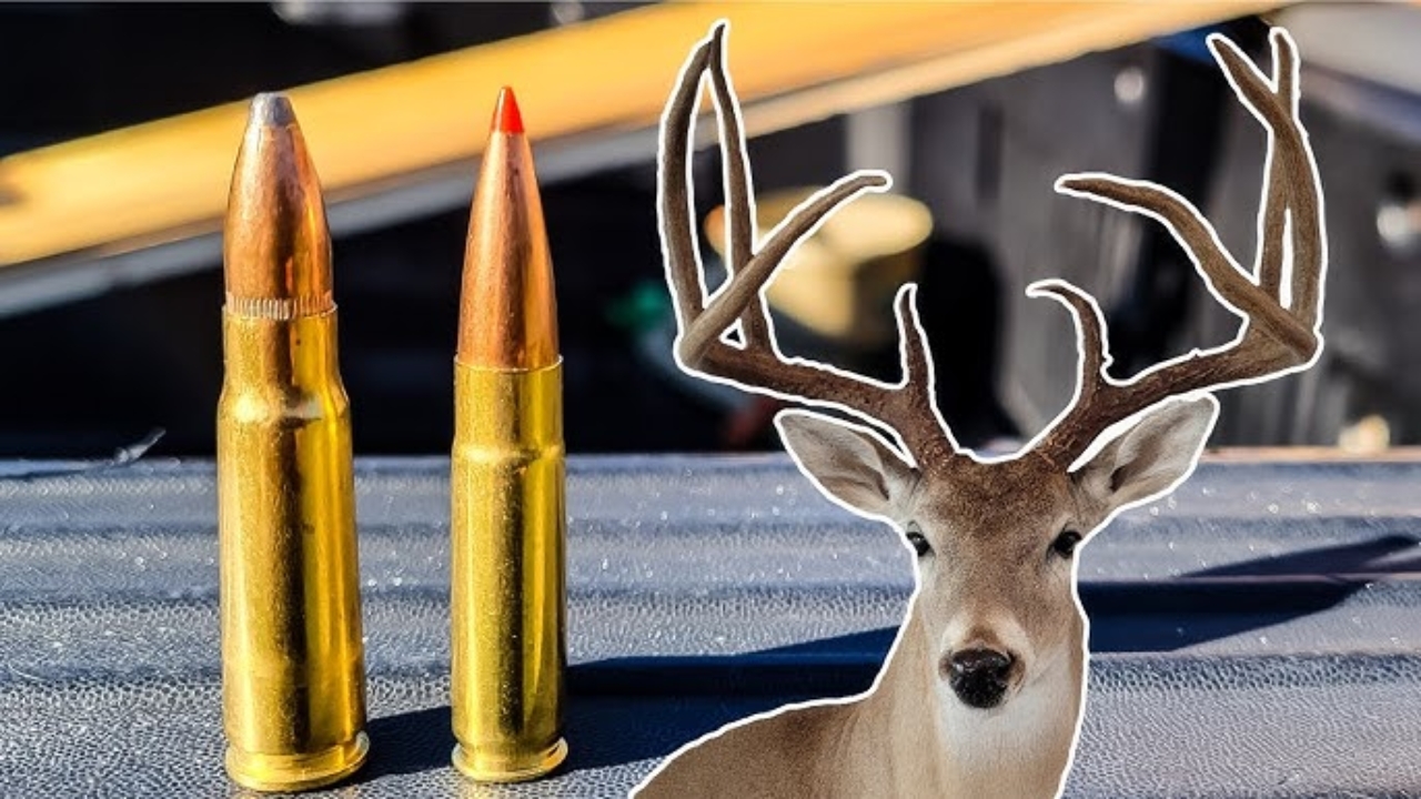 Hunting cartridges that make tracking harder than it needs to be - The ...