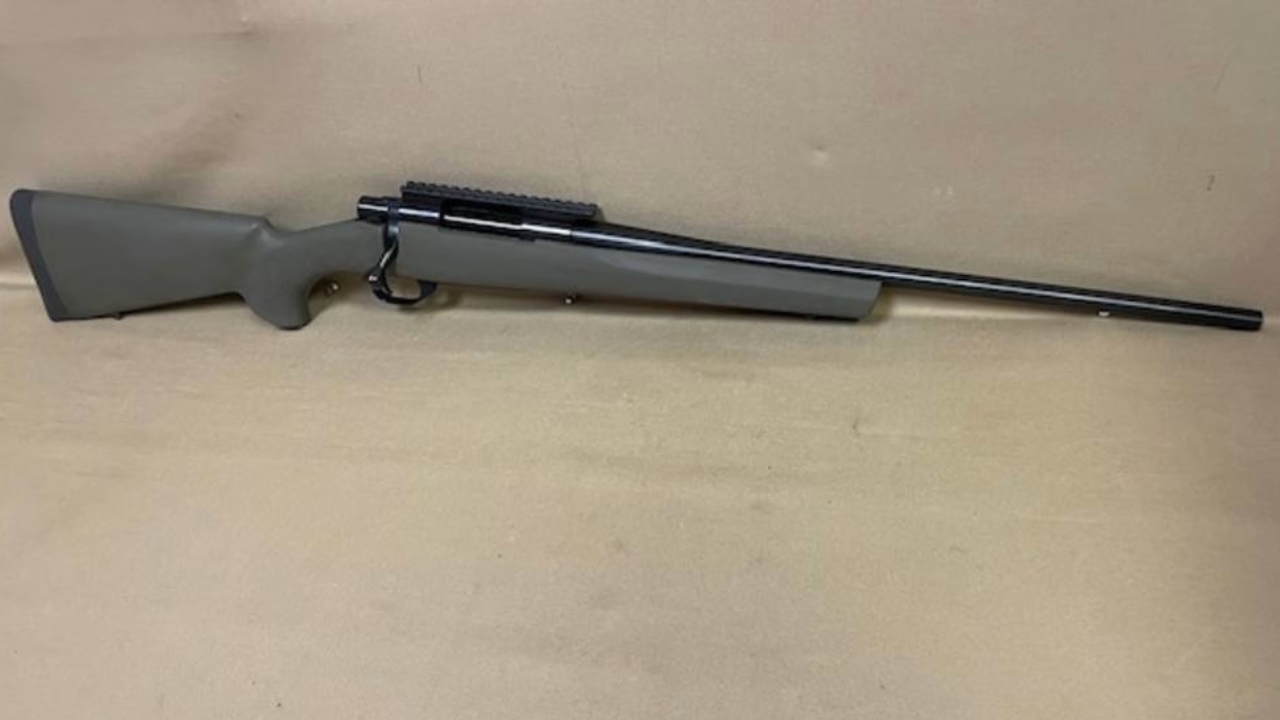 The Best Budget-Friendly Guns That Can Compete With Premium Brands ...