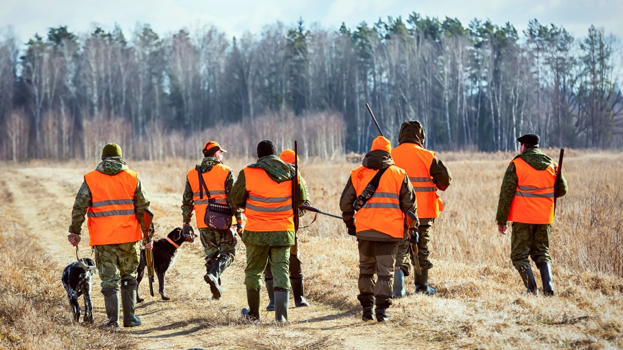 15 states where new hunters are joining in the biggest waves - The Avid ...