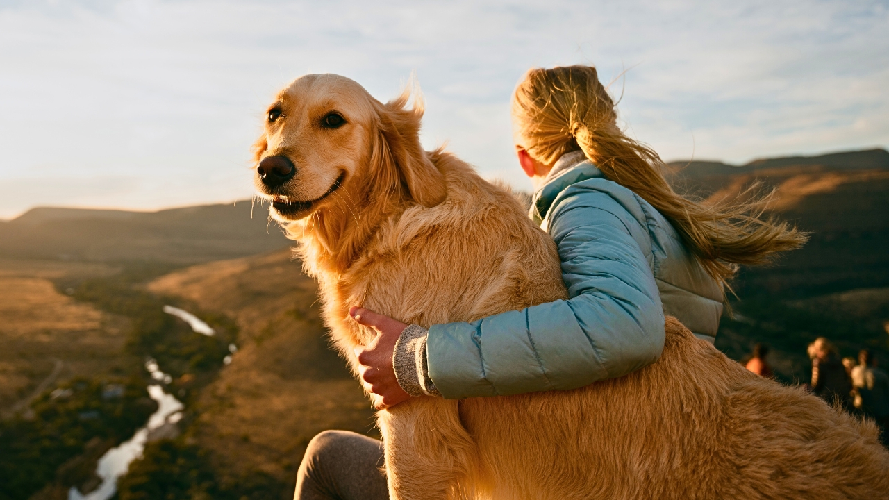 9 dogs that want to be by your side all day, every day - The Avid ...