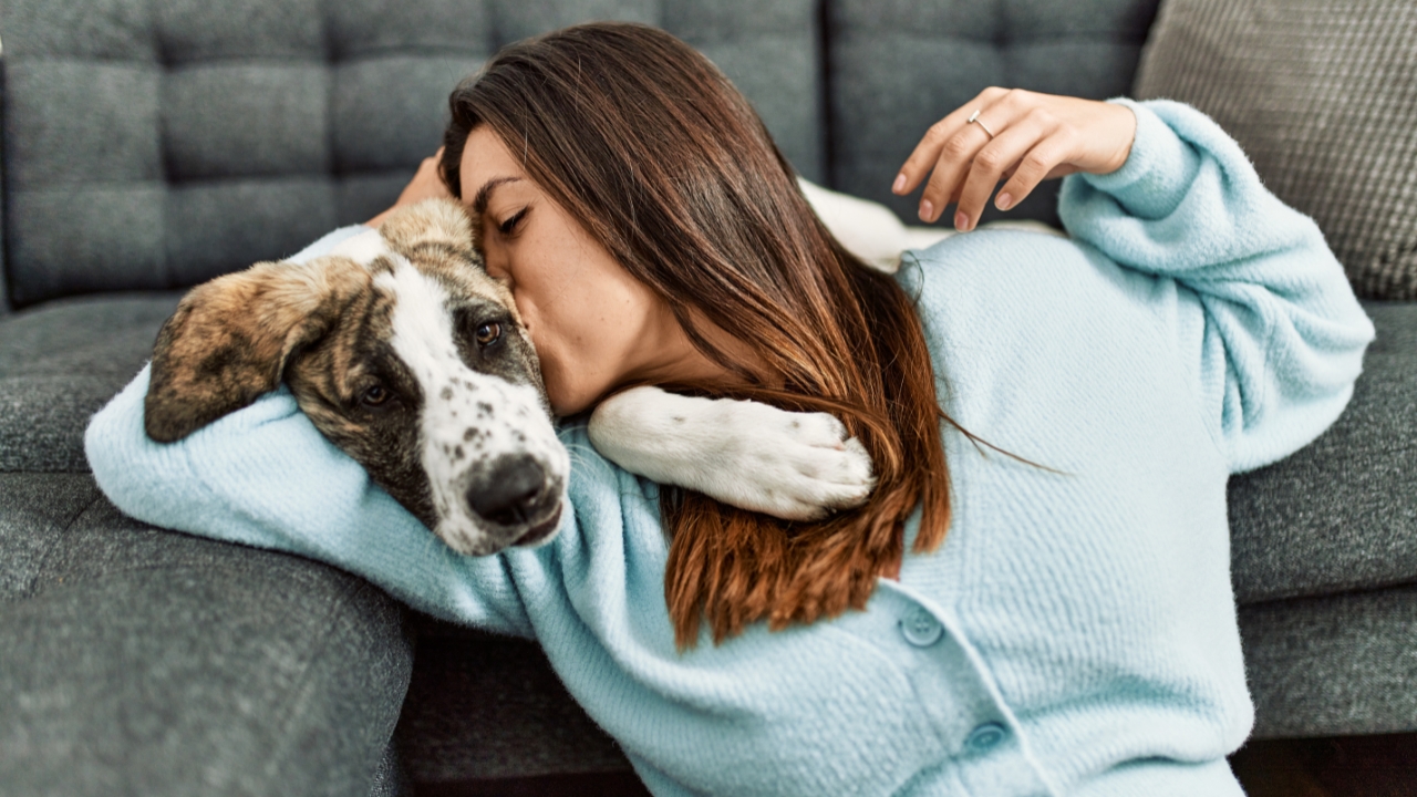 13 dog breeds that bond deeply with one person and rarely let go - The ...